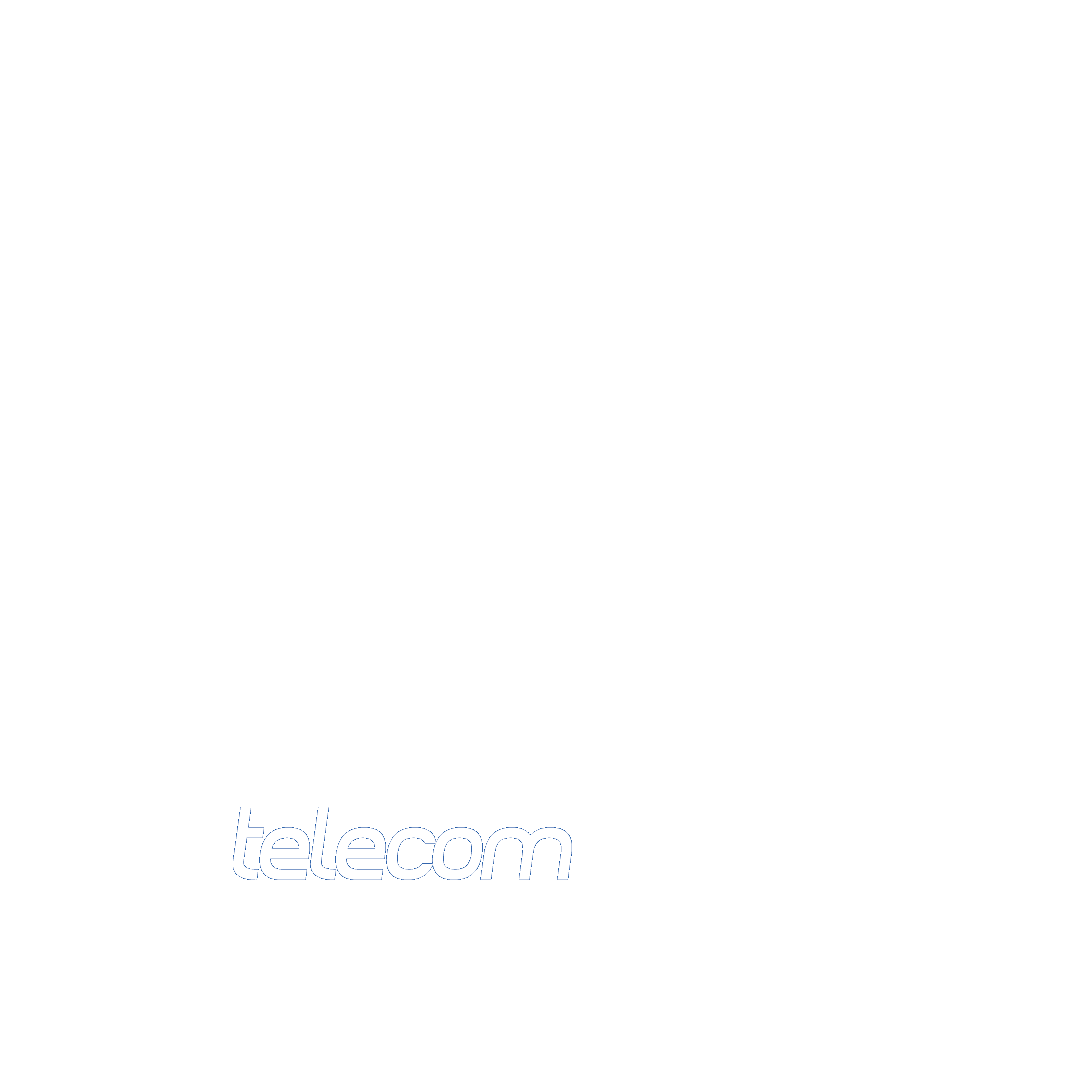 P4 Telecom